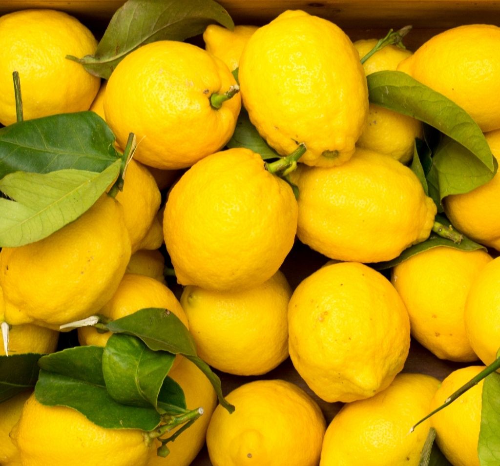 The Lemon Edit — Chef‑Curated Lemon Picks | Sous Chef