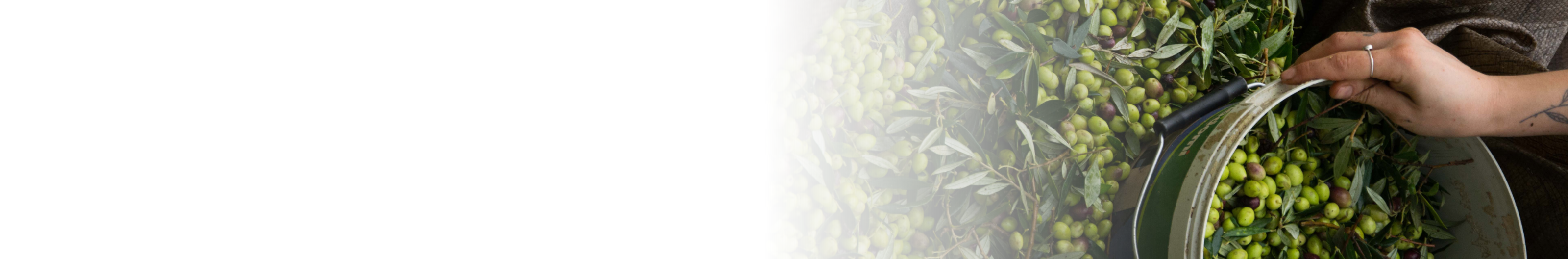 Honest Toil - buy online UK – Sous Chef UK