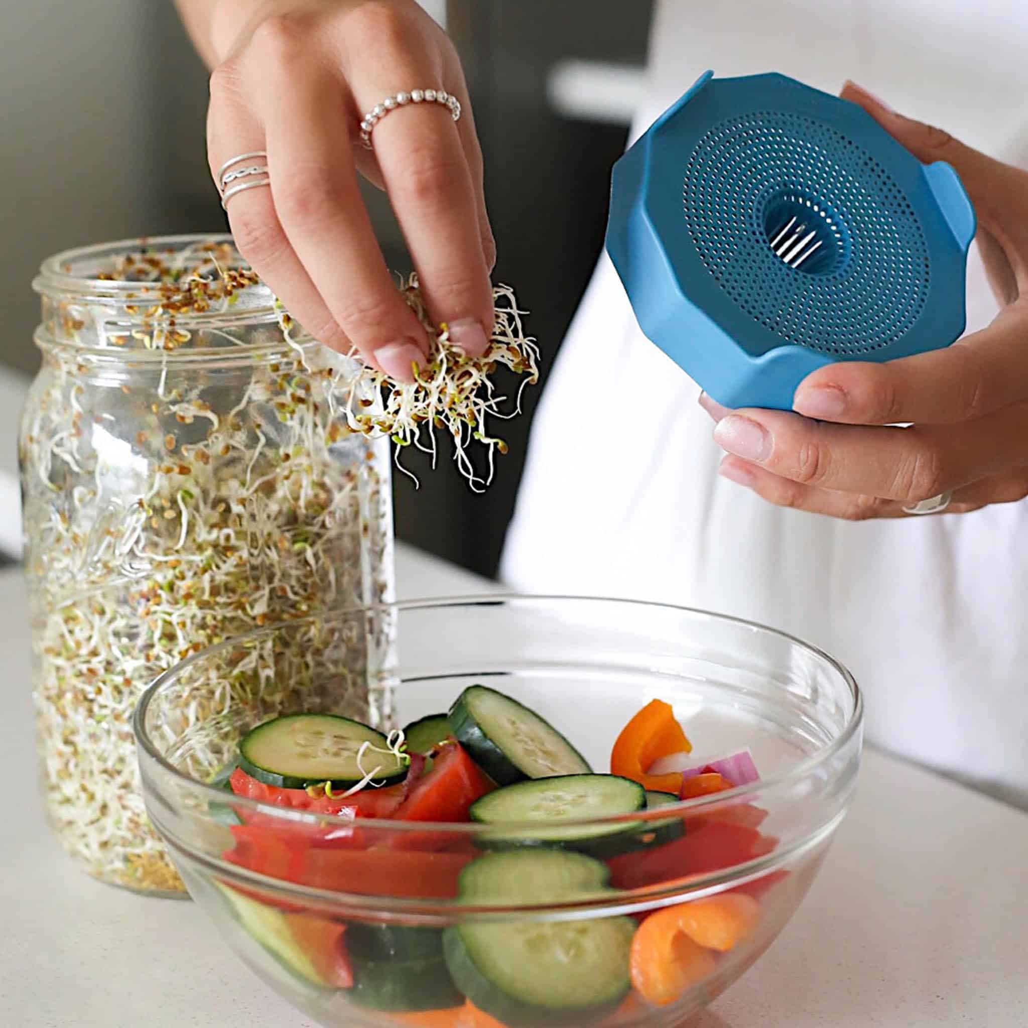 Masontops Wide Mouth Bean Screens Sprouting Lids, Set of 2 | Buy online ...