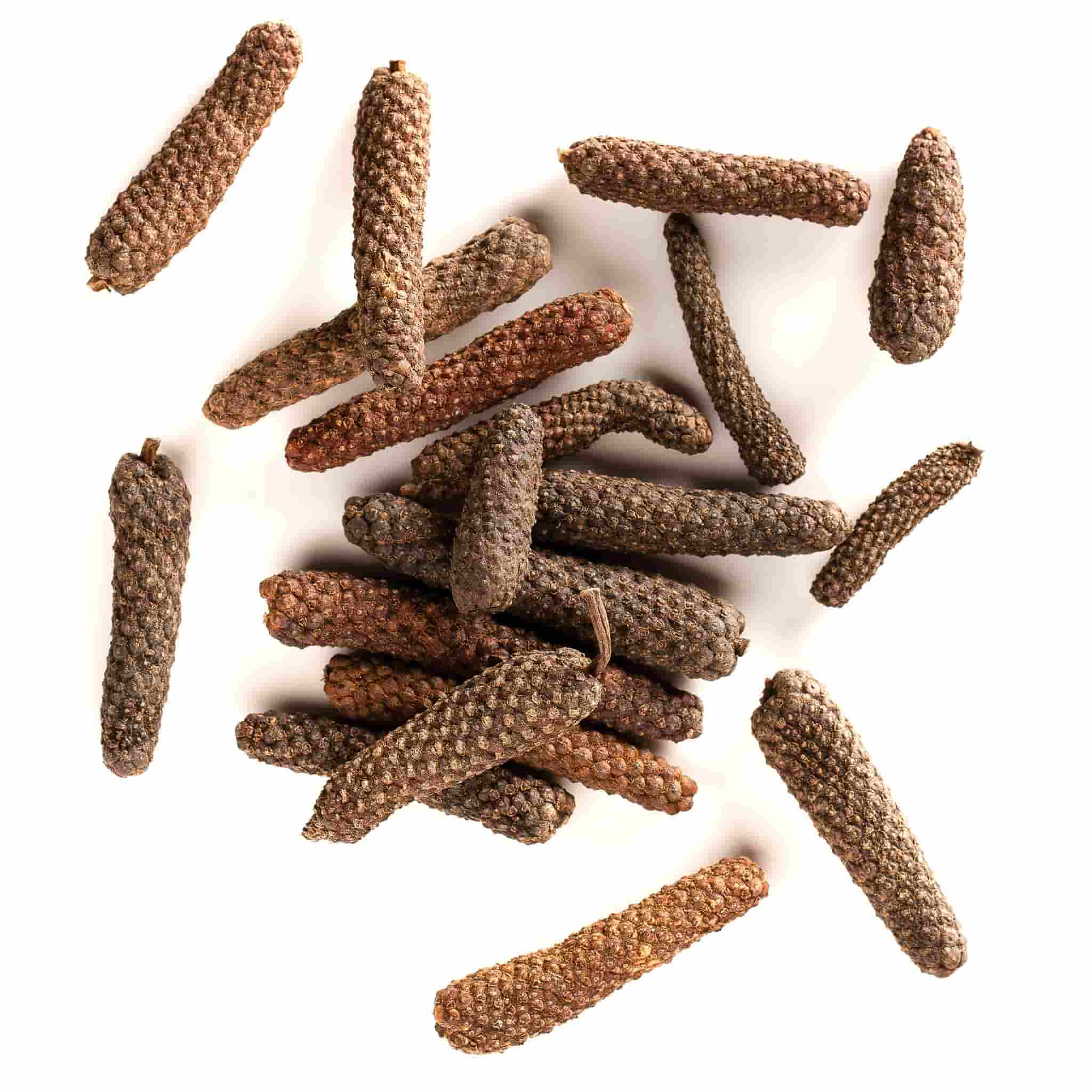 Terre Exotique Java Long Pepper 500g | Buy online at Sous Chef UK